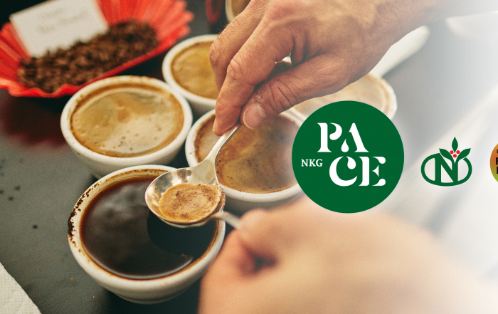 Press & Newsroom | Neumann Kaffee Gruppe (NKG)