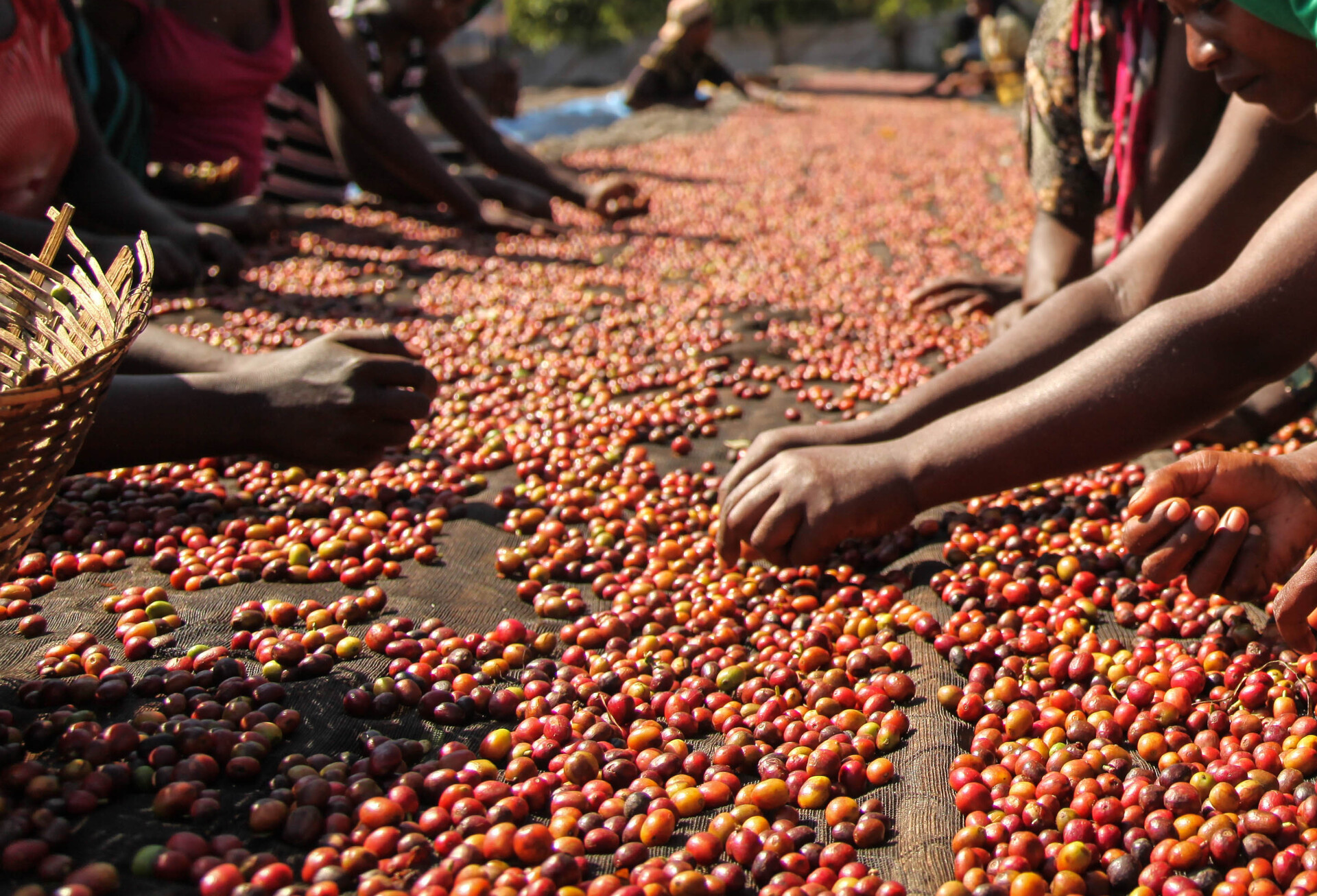 About us - Neumann Kaffee Gruppe (NKG)