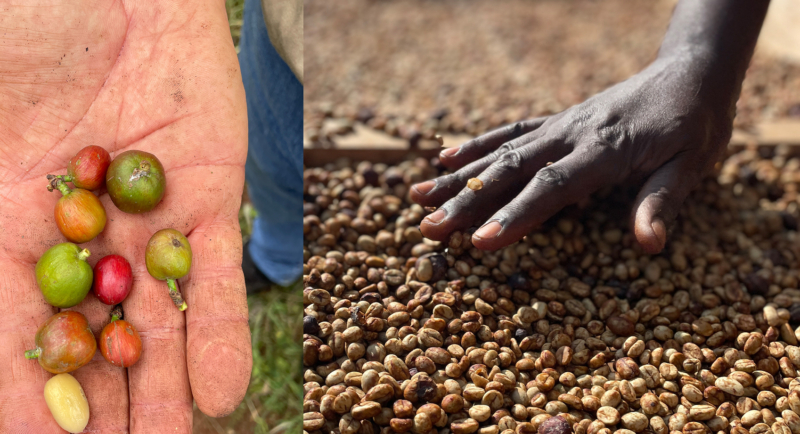 Neumann Kaffee Gruppe (NKG) - We're all about coffee. Today. Tomorrow ...