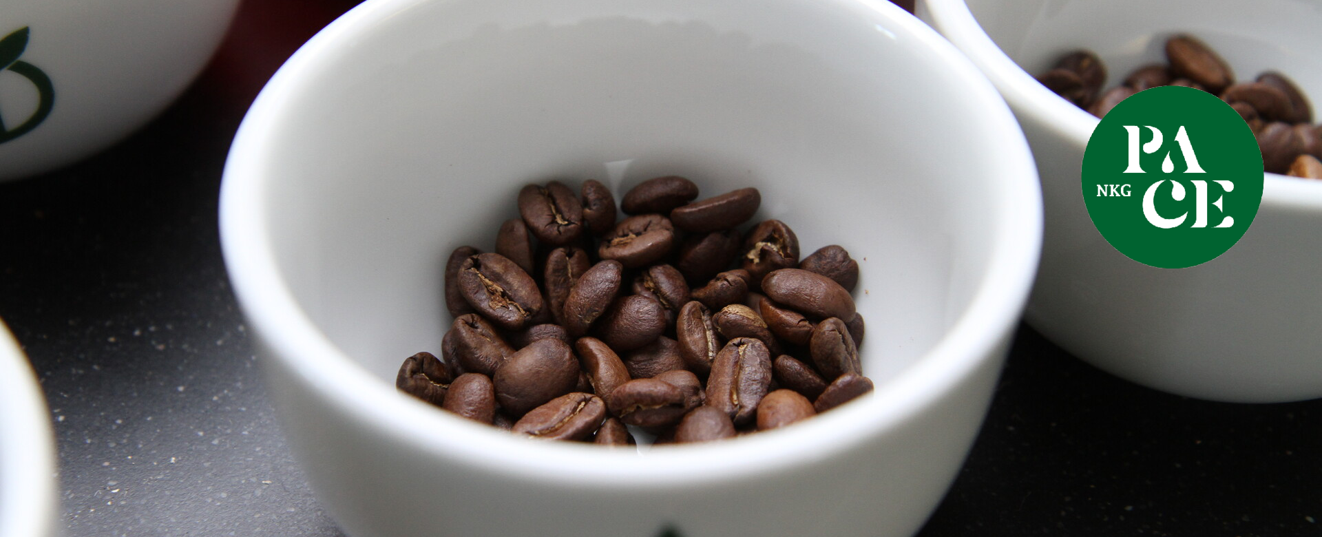 NKG PACE Introduces Third Class of Partners, Plus Public Resources, to ...