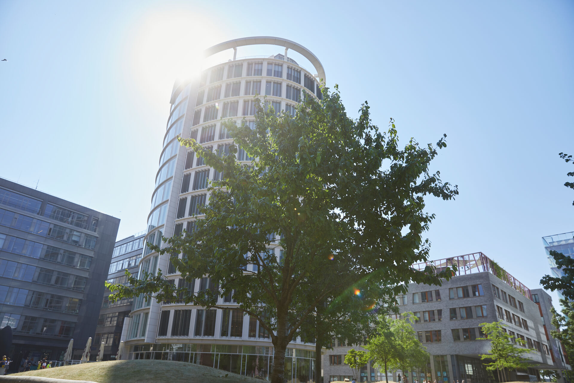 Holding Company - Neumann Kaffee Gruppe (NKG)